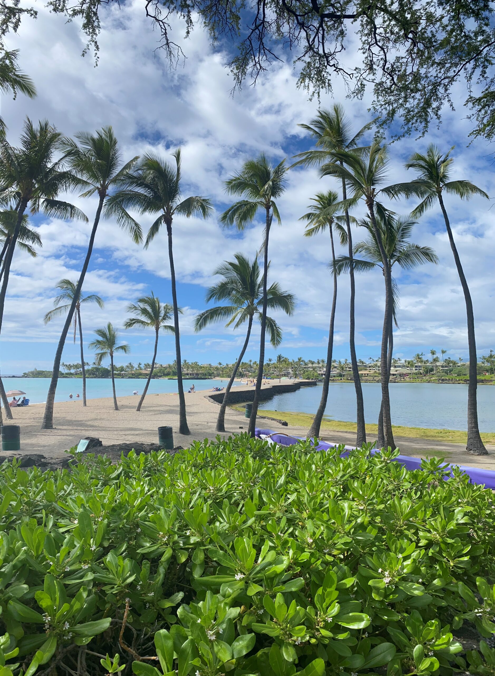 🌺 Aloha, Beach Lovers! 🌺 | Kona Coast
